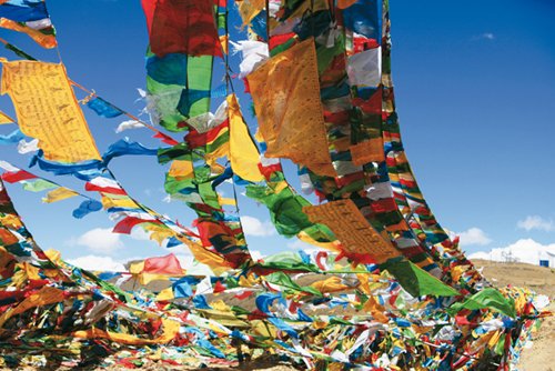 藏族文化-藏族文化的特点有哪些？